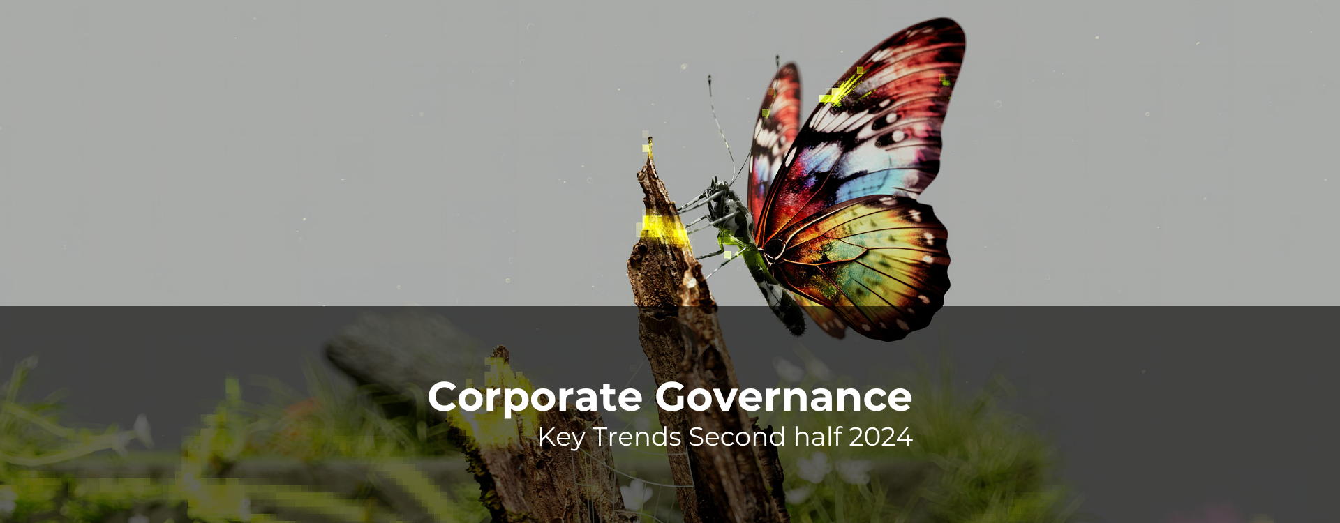 Corporate Governance Trends for the Second Half of 2024 | Hippoly Corporate Governance Trends for the Second Half of 2024 | Hippoly